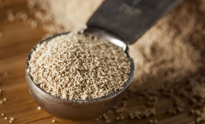 Maya Çeşitleri - Kuru Maya - Yaş Maya - İnstant Maya